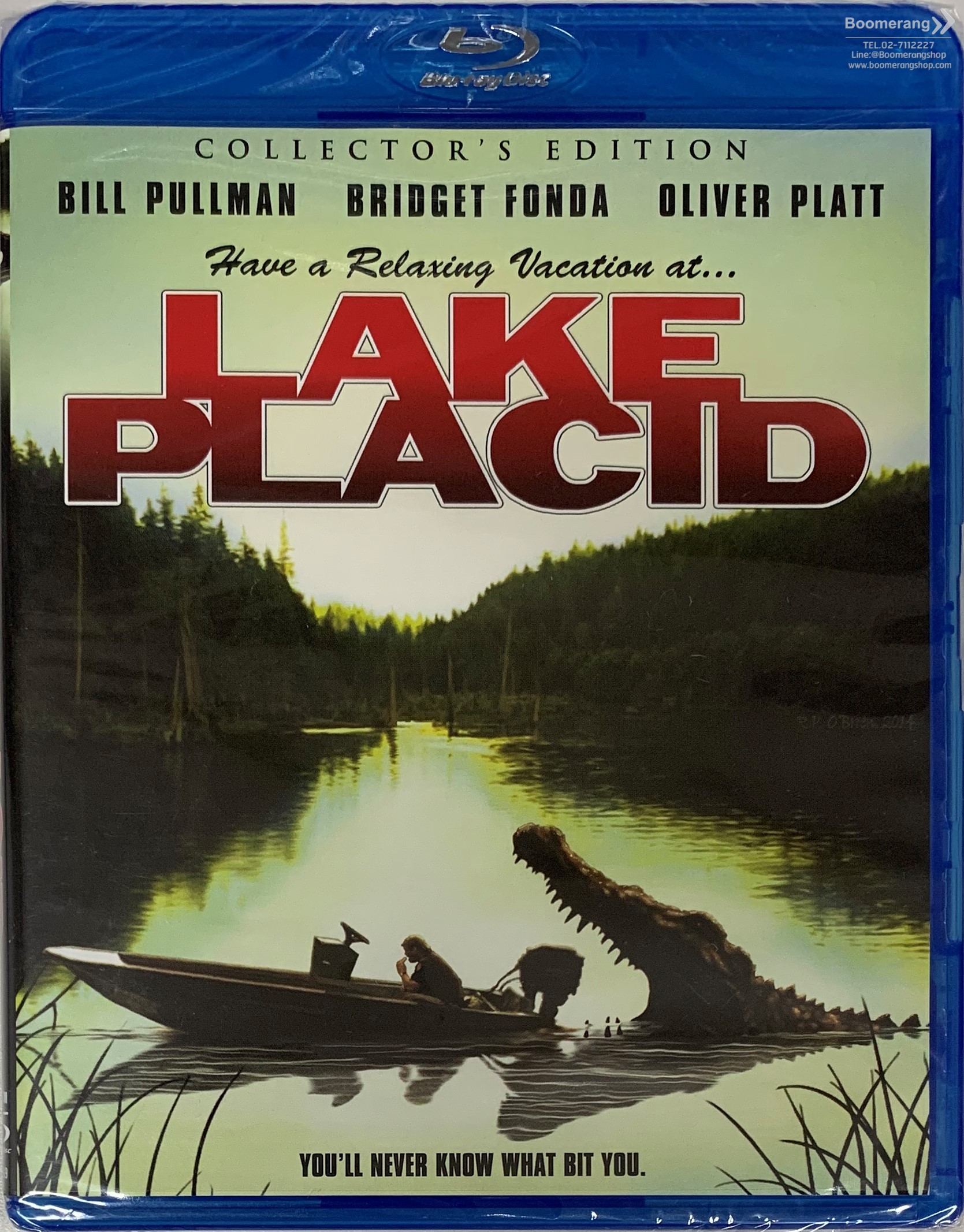 Click for larger image and over views